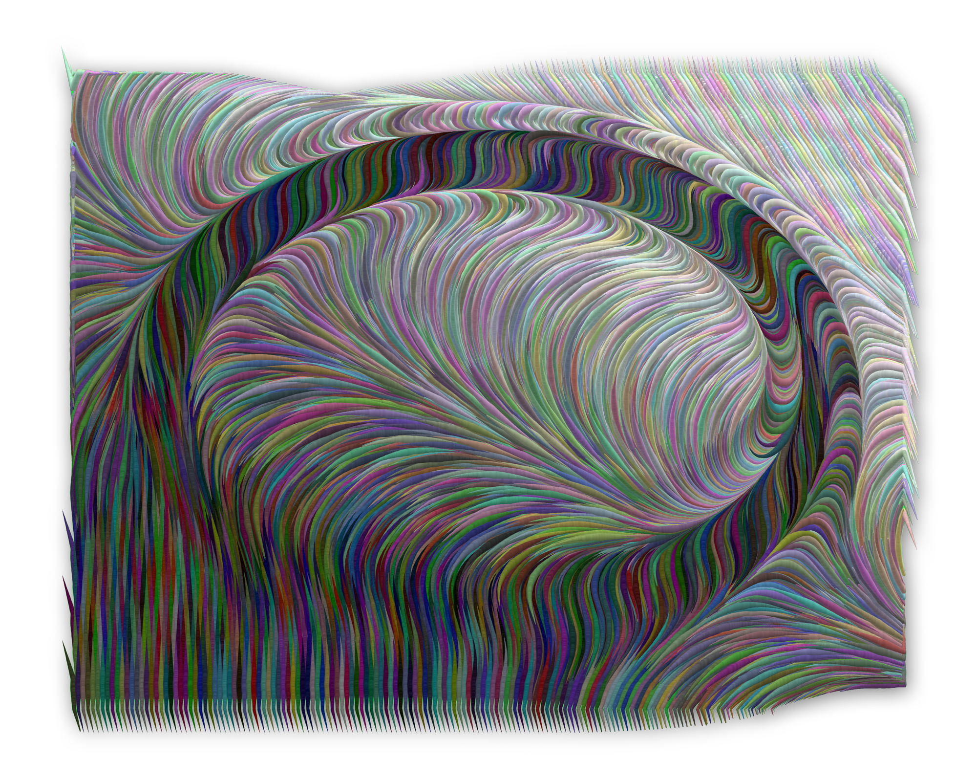 Black and White in Color – Karen Hochman Brown